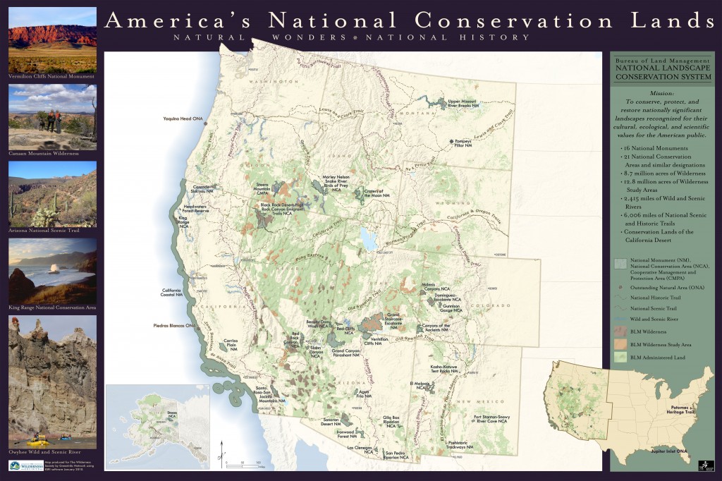 National Conservation Lands - Friends of Ironwood Forest